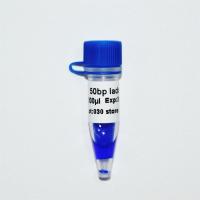 China 50bp 50ug DNA Marker Electrophoresis High Purity Reagents for sale