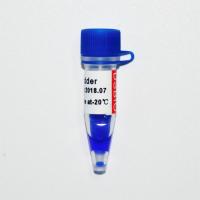 China 50bp 50ug DNA Marker Electrophoresis High Purity Reagents for sale