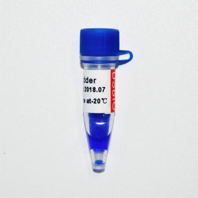 China 50bp 50ug DNA Marker Electrophoresis High Purity Reagents for sale