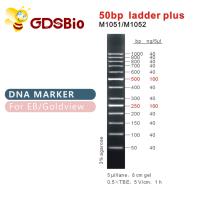 China Blue Appearance 50bp DNA Ladder Electrophoresis 50ug for sale