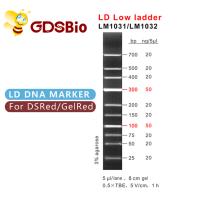 China 100bp 300bp LD Low Ladder DNA Marker Electrophoresis for sale