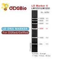China 50 Preps GDSBio DNA Size Markers Gel Electrophoresis LD Marker 4 for sale