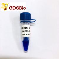 China 50 Preps GDSBio DNA Size Markers Gel Electrophoresis LD Marker 4 for sale