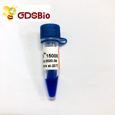 China DS LD 15000bp 15kb DNA Marker Electrophoresis 50 Preps for sale