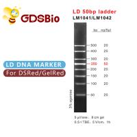 China 50bp DNA Gel Electrophoresis Marker Ladder GDSBio for sale