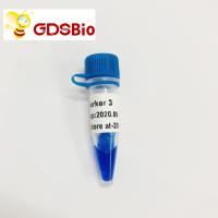 China GDSBio LD Marker 3 DNA Marker Electrophoresis 60 Preps for sale