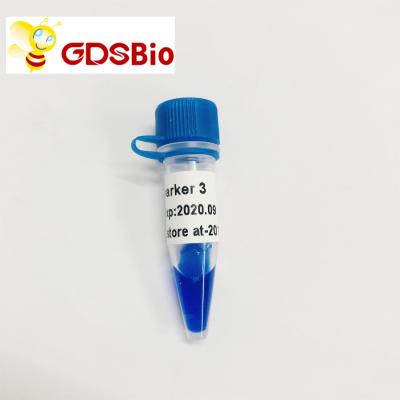 China GDSBio LD Marker 3 DNA Marker Electrophoresis 60 Preps for sale