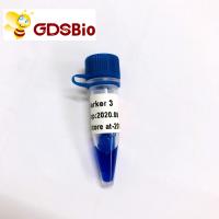 China GDSBio LD Marker 3 DNA Marker Electrophoresis 60 Preps for sale