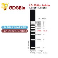 China 500bp LD DNA Ladder Gel Electrophoresis 60 Preps for sale