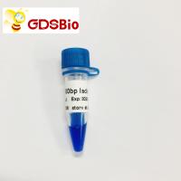 China 500bp LD DNA Ladder Gel Electrophoresis 60 Preps for sale