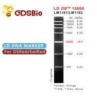 China LD DS 15000bp 15kb DNA Marker Electrophoresis 50 Preps for sale