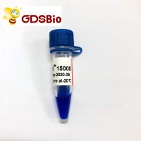 China LD DS 15000bp 15kb DNA Marker Electrophoresis 50 Preps for sale