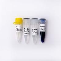China Taq DNA Polymerase for DNA Amplification for sale