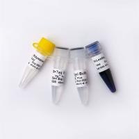 China Taq DNA Polymerase for DNA Amplification for sale