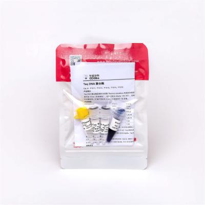 China Taq DNA Polymerase for DNA Amplification for sale