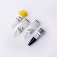 China Taq DNA Polymerase for DNA Amplification for sale