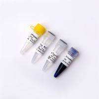 China Taq DNA Polymerase for DNA Amplification for sale