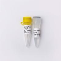 China Optimus Hotstart Taq DNA Polymerase PCR Reagent Enzyme P1041 for sale