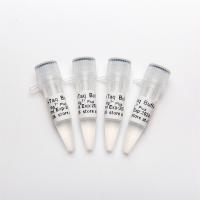 China 10× PCR Buffer With Mg2+ MgCl2 P5011 1.25ml×4 for sale