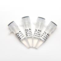 China Colourless 10× PCR Buffer Mg2+ Free P5011a 1.25ml×4 for sale