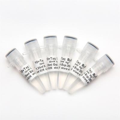 China 1.25ml×6 Ready To Use 10× PCR Buffer With Mg2+ Set P5011b for sale