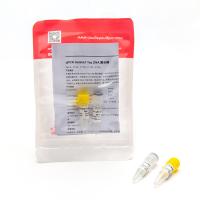 China QPCR Hotstart Taq DNA Polymerase RT-PCR Enzyme P1101 for sale