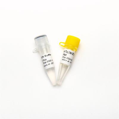 China QPCR Hotstart Taq DNA Polymerase RT-PCR Enzyme P1101 for sale