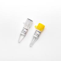 China QPCR Hotstart Taq DNA Polymerase RT-PCR Enzyme P1101 for sale