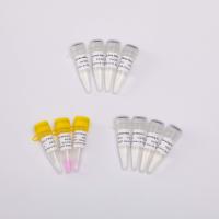 China V5001 One Step Rt QPCR Master Mix For Research Use for sale