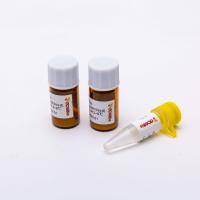 China Lyophilized RNA And DNA Targets DSPath One Step RT PCR Master Mix 4X V5005L/V5006L for sale