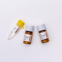 China Lyophilized RNA And DNA Targets DSPath One Step RT PCR Master Mix 4X V5005L/V5006L for sale