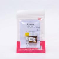 China Lyophilized RNA And DNA Targets DSPath One Step RT PCR Master Mix 4X V5005L/V5006L for sale