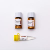 China Lyophilized RNA And DNA Targets DSPath One Step RT PCR Master Mix 4X V5005L/V5006L for sale