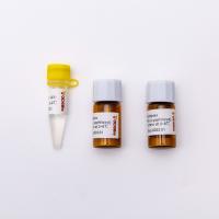 China Lyophilized RNA And DNA Targets DSPath One Step RT PCR Master Mix 4X V5005L/V5006L for sale