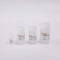 China V5009 V5010 One Step RT QPCR Master Mix GDSBio RNA Reverse Transcription And Quantitative PCR for sale