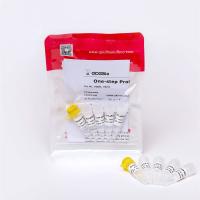 China V5009 V5010 One Step RT QPCR Master Mix GDSBio RNA Reverse Transcription And Quantitative PCR for sale