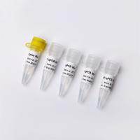 China V5009 V5010 One Step RT QPCR Master Mix GDSBio RNA Reverse Transcription And Quantitative PCR for sale