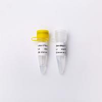 China 5× Buffer RNA Reverse Transcription One Step Probe RT QPCR Master Mix V5011 for sale
