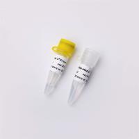 China 5× Buffer RNA Reverse Transcription One Step Probe RT QPCR Master Mix V5011 for sale