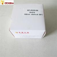 China RNA Reverse Transcriptase RT-PCR Reagents First Strand CDNA Synthesis Kit R1011 R1012 for sale