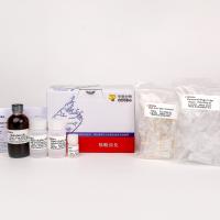 China RNase-Free Spin Column General RNA Extraction Kit R1051 50 Preps for sale