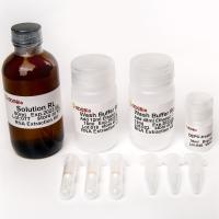 China RNase-Free Spin Column General RNA Extraction Kit R1051 50 Preps for sale