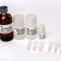 China RNase-Free Spin Column General RNA Extraction Kit R1051 50 Preps for sale