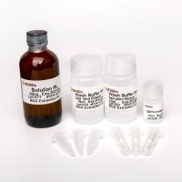 China RNase-Free Spin Column General RNA Extraction Kit R1051 50 Preps for sale