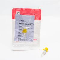 China RNase Free DATP DCTP DGTP DTTP DNTP Mix R2051 0.5ml for sale
