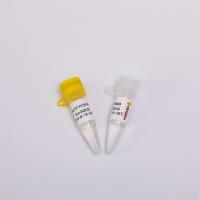 China RNA Reverse Transcription And Endpoint PCR Kit One Step RT PCR Mix RP1001 for sale