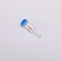 China Heat Labile Anti Contamination UDG Enzyme Molecular Biology For QPCR R5001 1 U/μL for sale