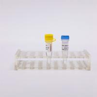 China Heat Labile Anti Contamination UDG Enzyme Molecular Biology For QPCR R5001 1 U/μL for sale