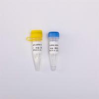 China Heat Labile Anti Contamination UDG Enzyme Molecular Biology For QPCR R5001 1 U/μL for sale