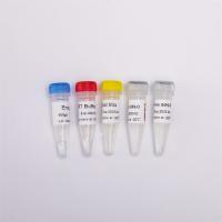 China R1031 GDSBio First Strand CDNA Synthesis RT-PCR Mix For QPCR Premixed RNA Reverse Transcriptase PCR Reagents for sale